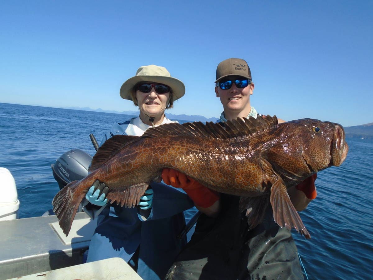 Lingcod - Alaska Fish Species | Angling Unlimited