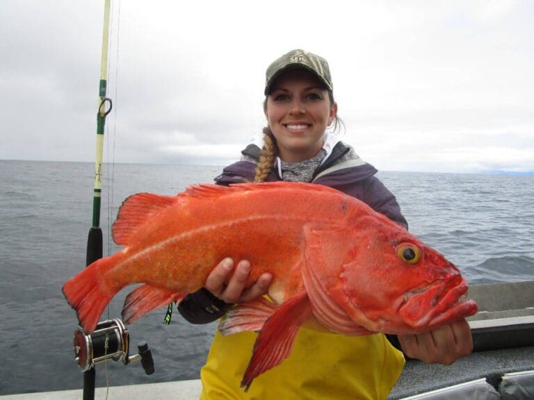 Non Pelagic Rockfish - Alaska Fish Species| Angling Unlimited